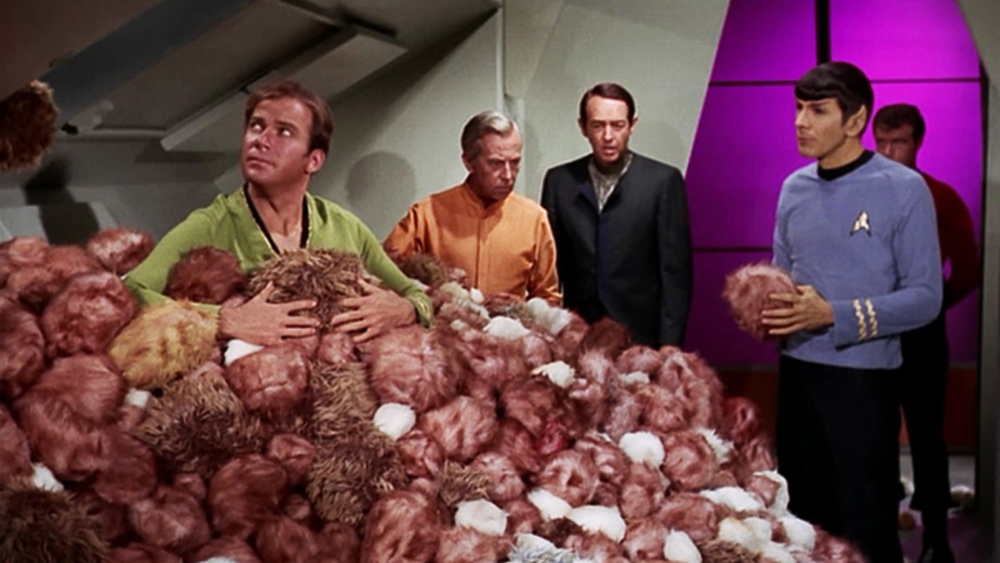 Publishing scammers are proliferating like Tribbles. How to stay safe